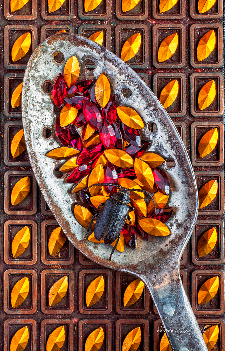 Color Rhythms - Donna Dufault