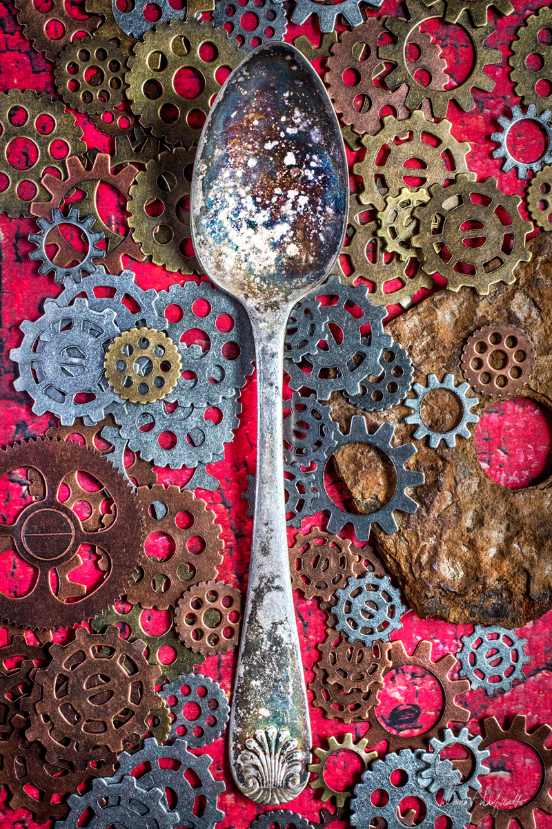 Spoon and Spokes - Donna Dufault